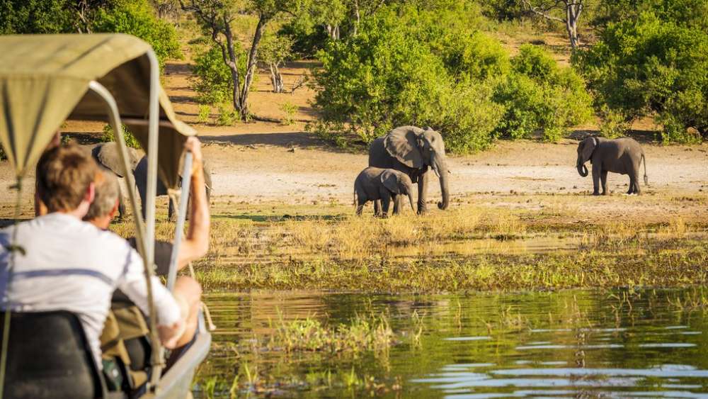 Botswana Safari Guide | African Budget Safaris