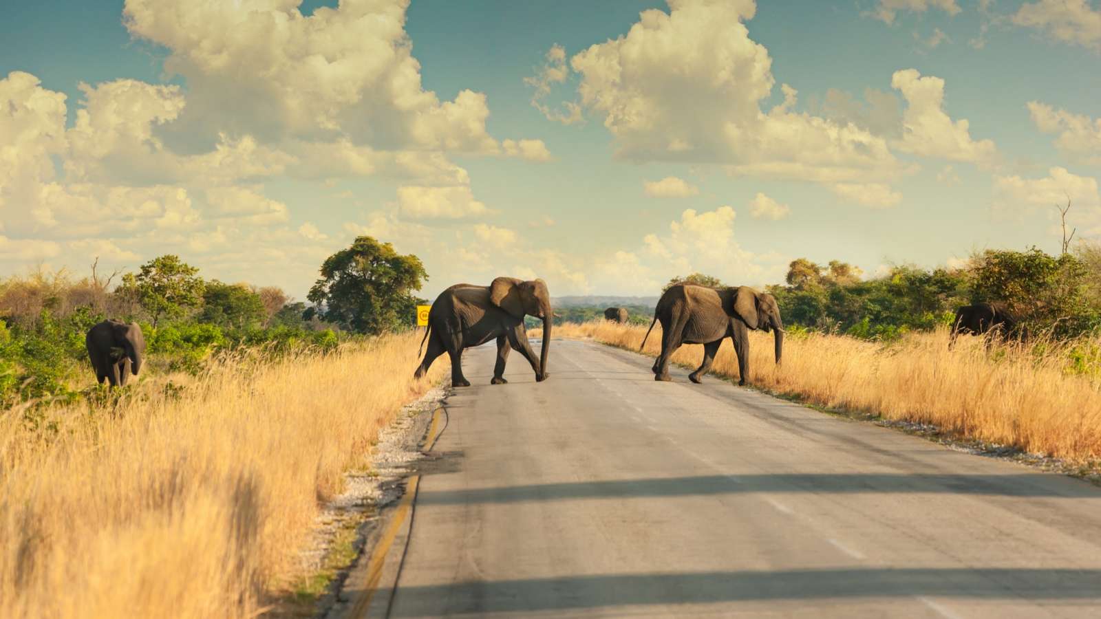 Kasane Safari - Guide by African Budget Safaris