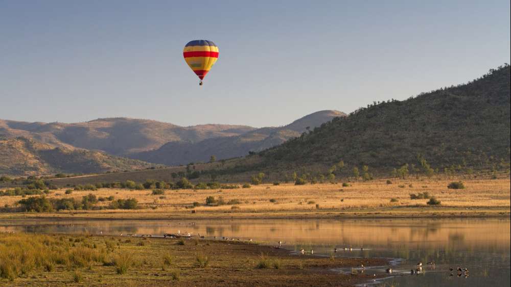 Pilanesberg National Park Guide: Reviews, Fees & Best Time to Visit