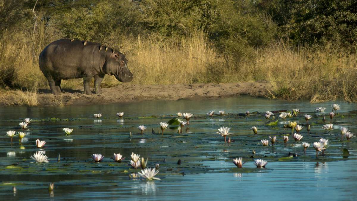 Caprivi Budget Travel Guide