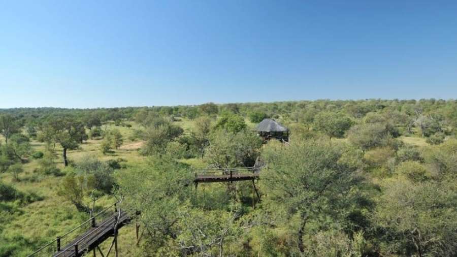 Balule Game Reserve - Greater Kruger National Park