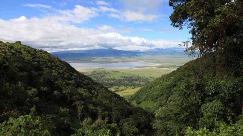 Guide to Ngorongoro Crater Safari | African Budget Safaris