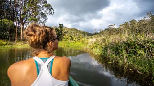 Guide to Andasibe National Park Madagascar