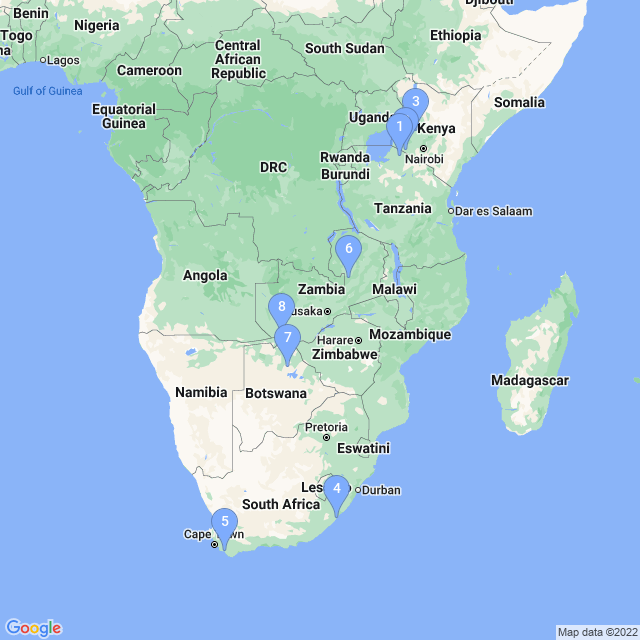 Biggest Animal Migrations Africa: Great Migrations When & Where